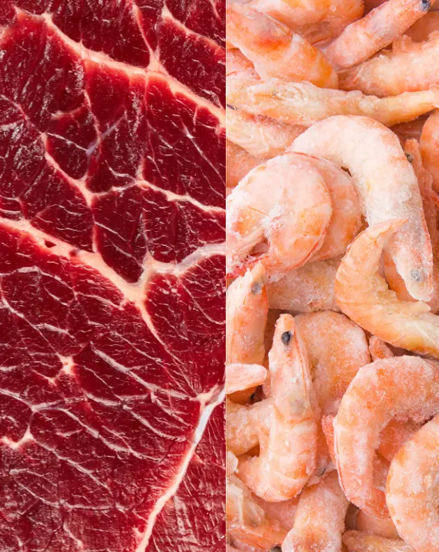 VH Vertical Packaging | Packaging solutions for meat and fish | VH ...